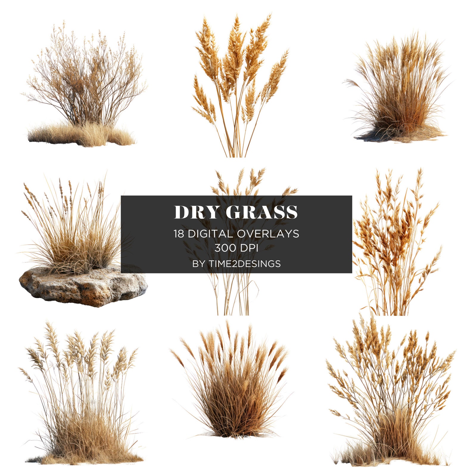 Dry Grass Overlays Transparent Background Real Grass Overlays Photoshop ...