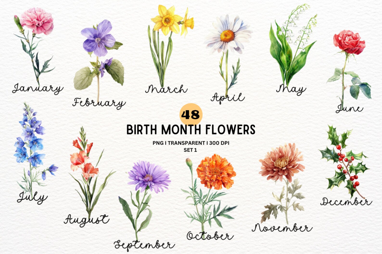 48 Birth Month Flowers Clipart, PNG, Set Watercolor, Watercolor Floral ...