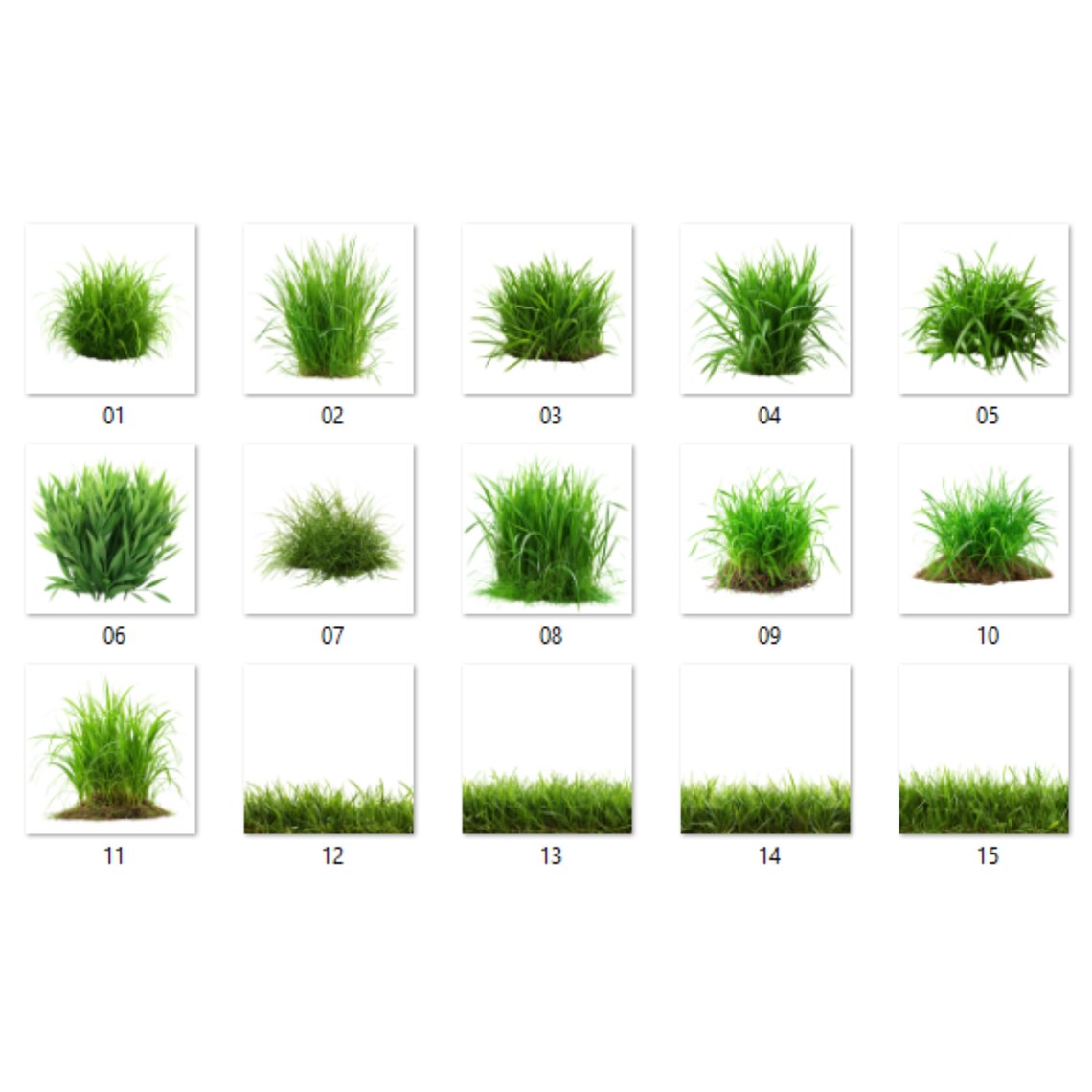 Grass Overlays Transparent Background Real Grass Overlays Photoshop ...