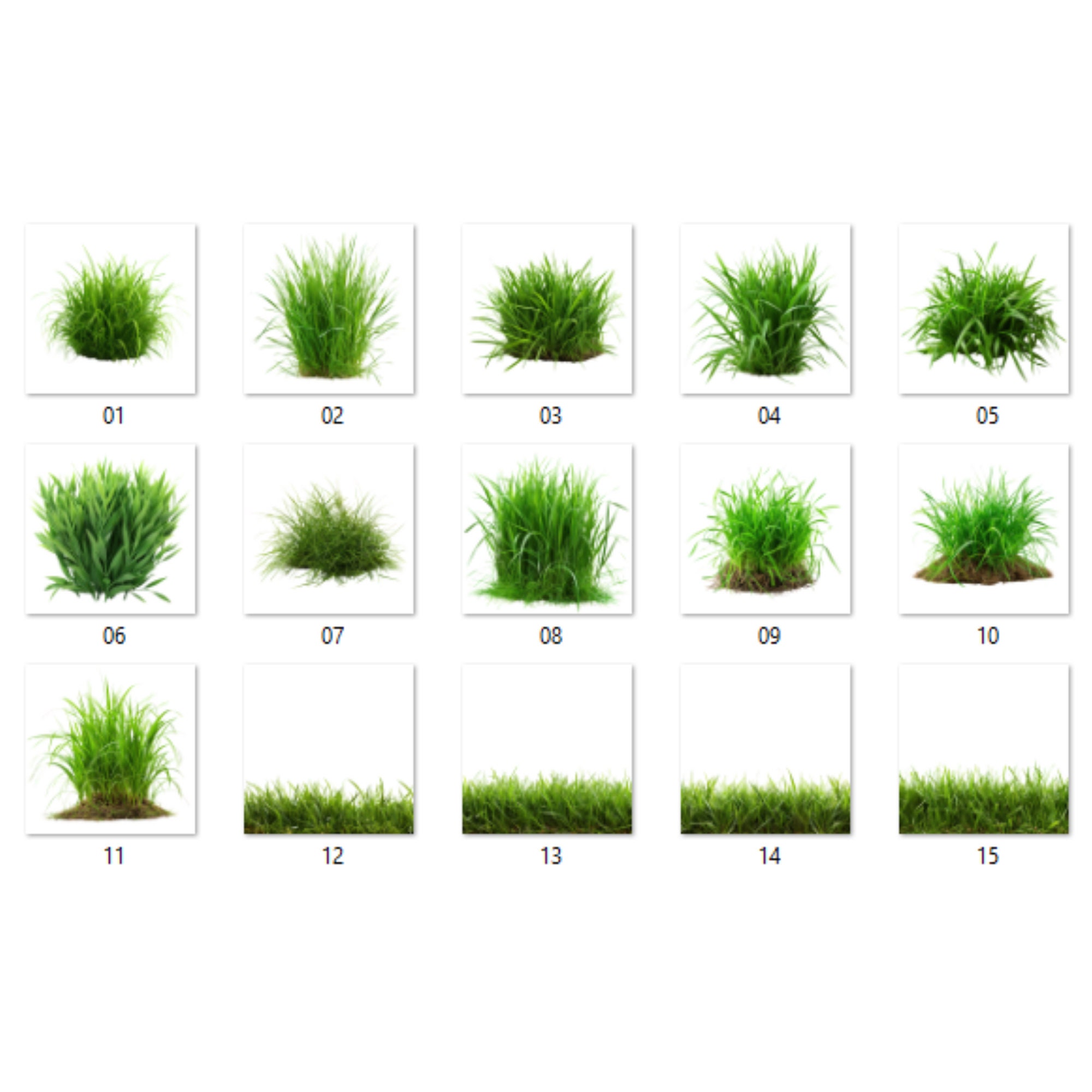 Grass Overlays Transparent Background Real Grass Overlays Photoshop ...