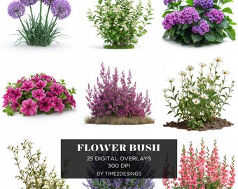 72 Assorted Flowers Photo Overlays for Photoshop, Flowers, Garden ...