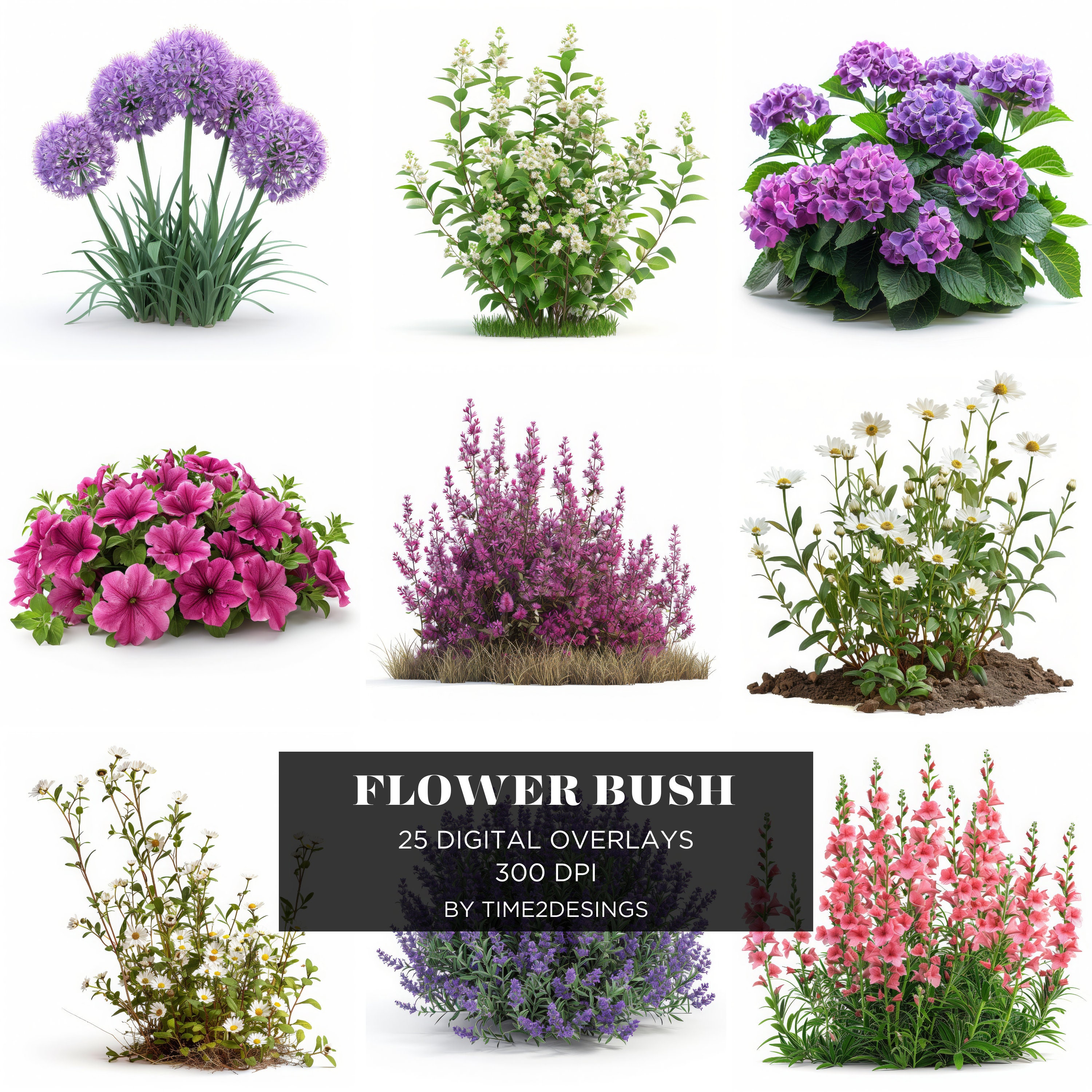 Flowers Photo Overlays for Photoshop, Garden Flowers, Plants, Cutouts ...