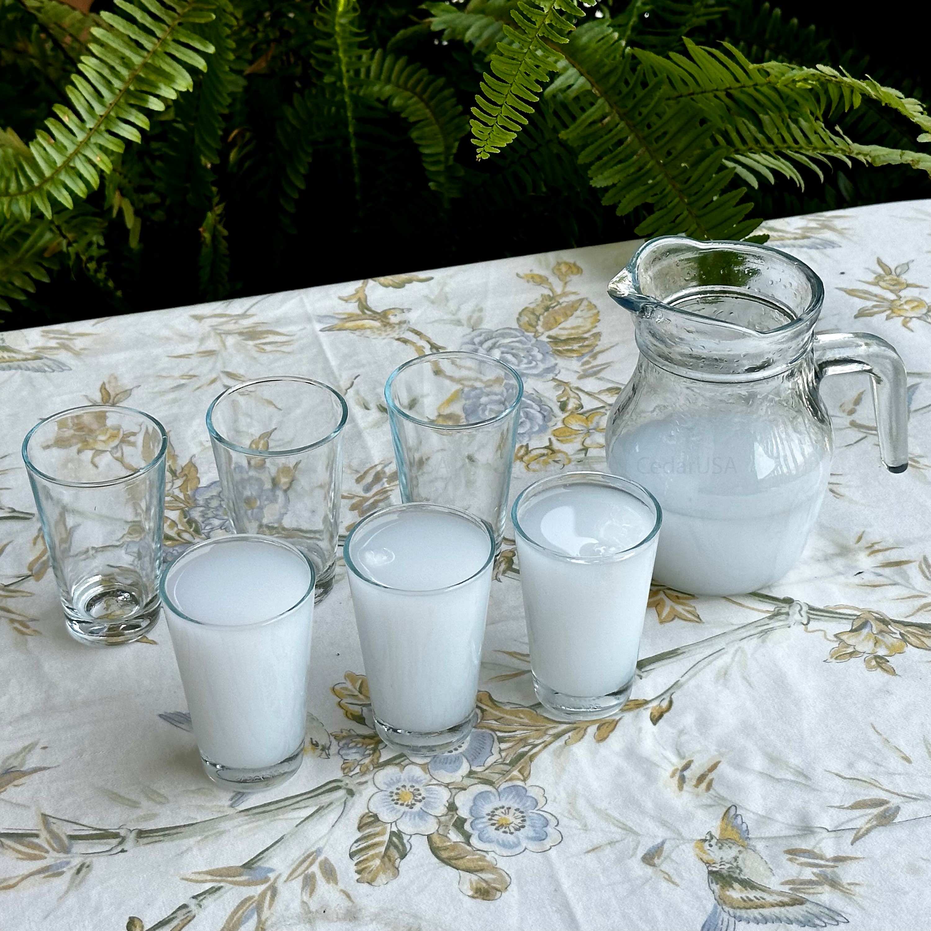 Lebanese Arak Glasses and Pitcher Set - Traditional Drinkware From ...