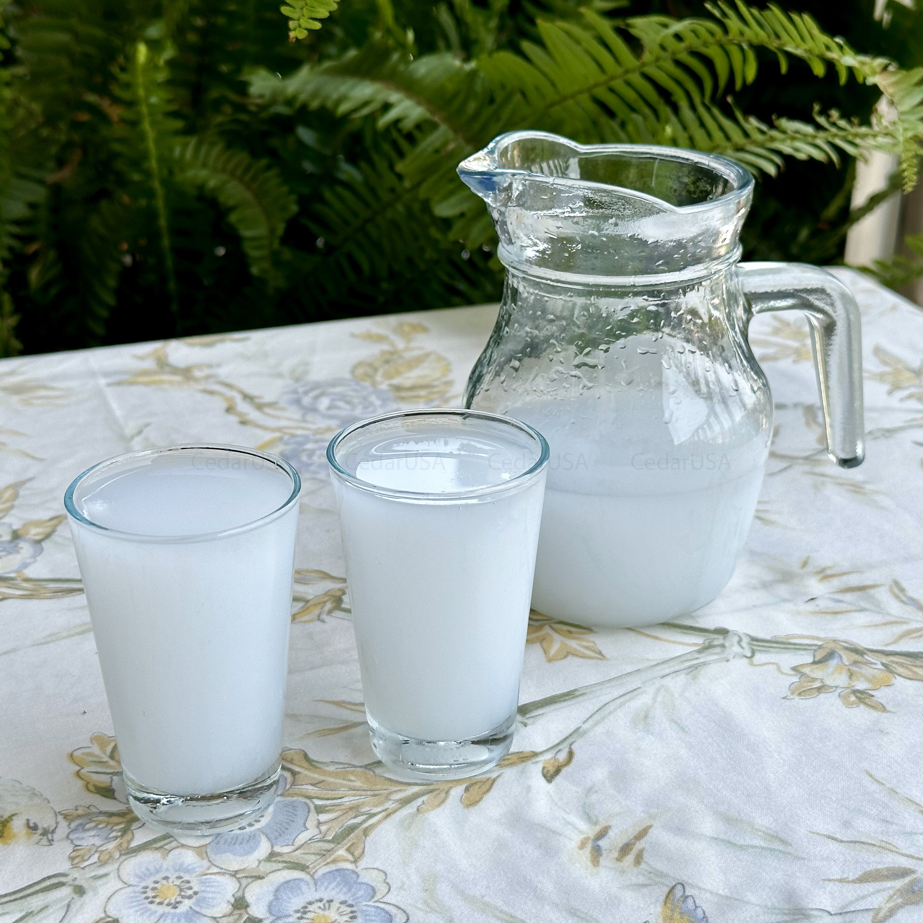 Lebanese Arak Glasses and Pitcher Set - Traditional Drinkware From ...