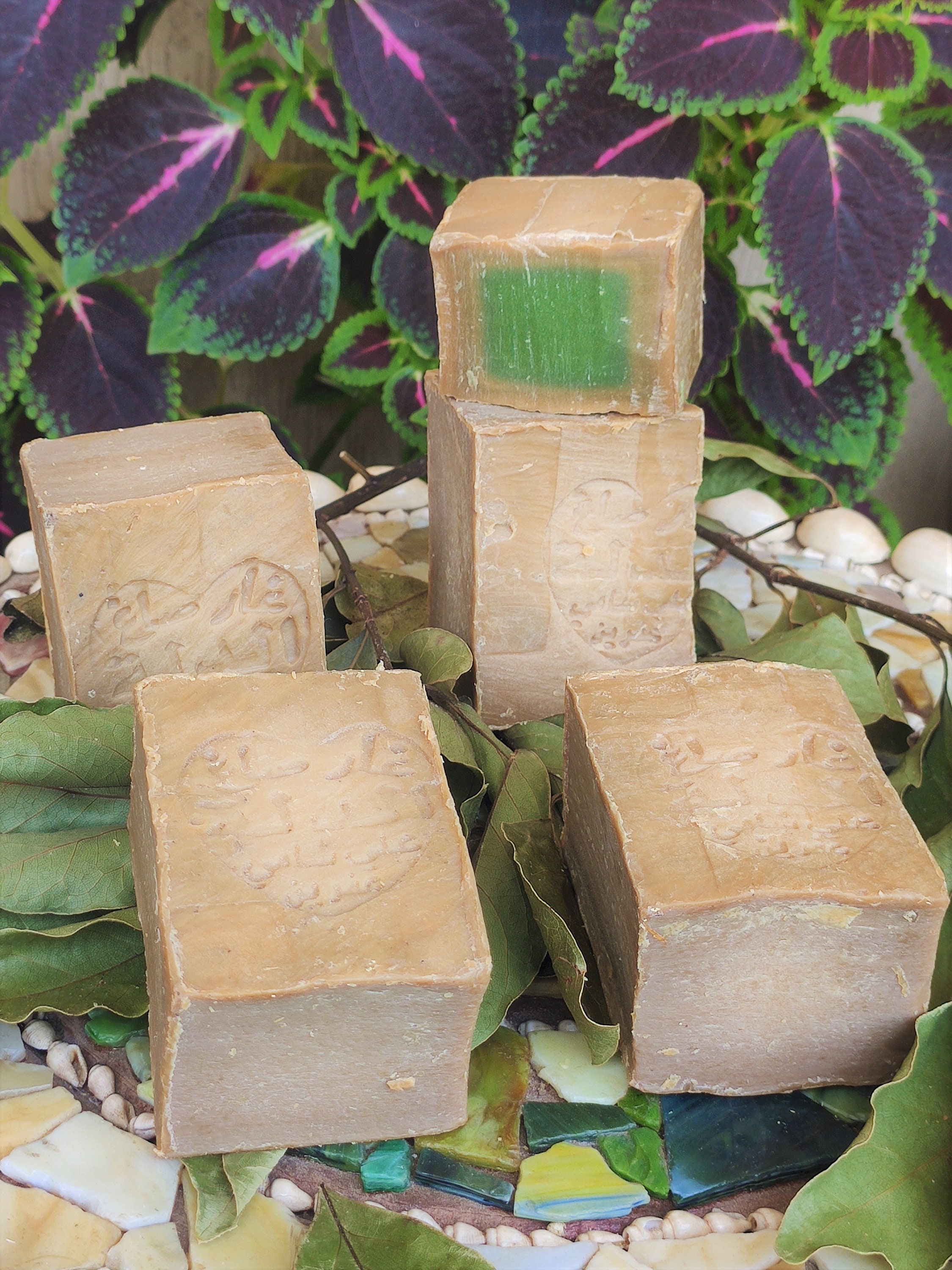 Aleppo Laurel Soap Ghar From Lebanon | PREMIUM QUALITY | and Free GIFT ...