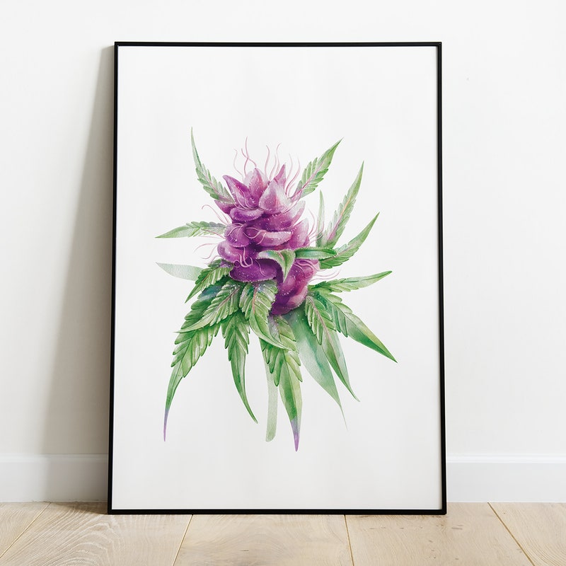 Marijuana Botanical Print - Etsy