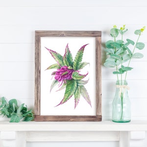 DIGITAL Cannabis Print, Cannabis Poster, Cannabis Watercolor, Cannabis ...