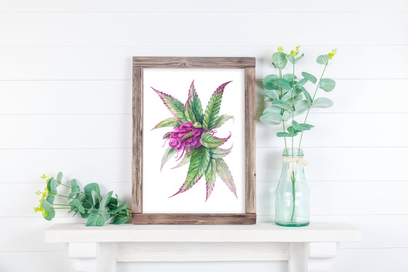 DIGITAL Cannabis Print, Cannabis Poster, Cannabis Watercolor, Cannabis ... DIGITAL Cannabis Print, Cannabis Poster, Cannabis Watercolor, Cannabis ...