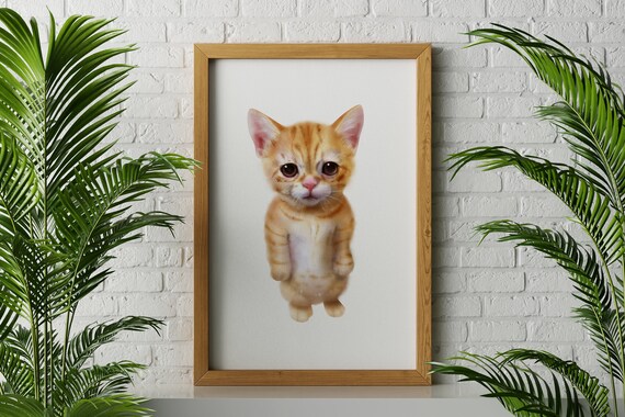 Sad Kitten Meme