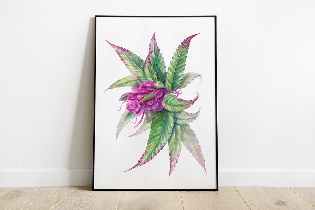 DIGITAL Cannabis Print, Cannabis Poster, Cannabis Watercolor, Cannabis ...