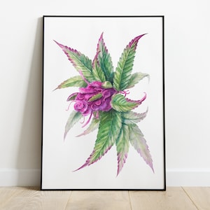 DIGITAL Cannabis Print, Cannabis Poster, Cannabis Watercolor, Cannabis ...
