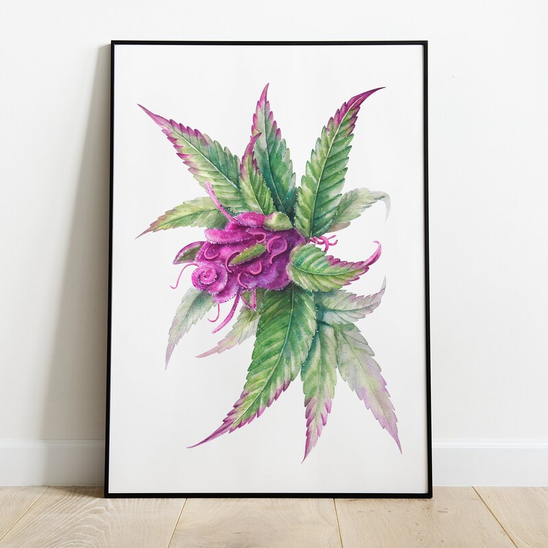Cannabis Art - Etsy