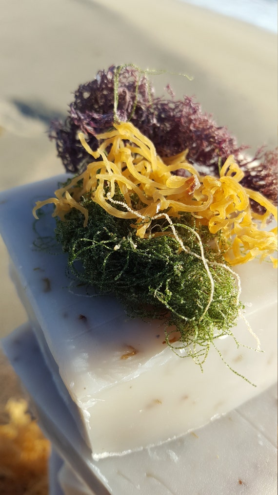 Super Sea Moss Soap with Purple Sea Moss Gold Sea Moss and | Etsy