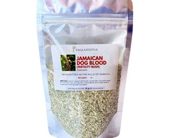 Jamaican Dog Blood Fertility Herb Rivina Humilis - Etsy UK