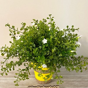 Farmhouse Greenery Arrangement, Small Greenery Arrangement, Artificial ...