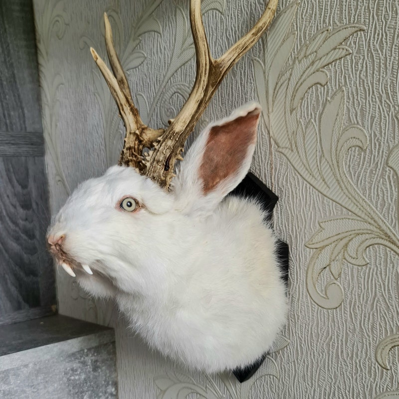 Rabbit With Antlers - Etsy