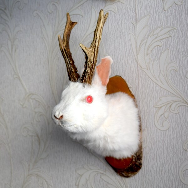 Rabbit With Antlers - Etsy
