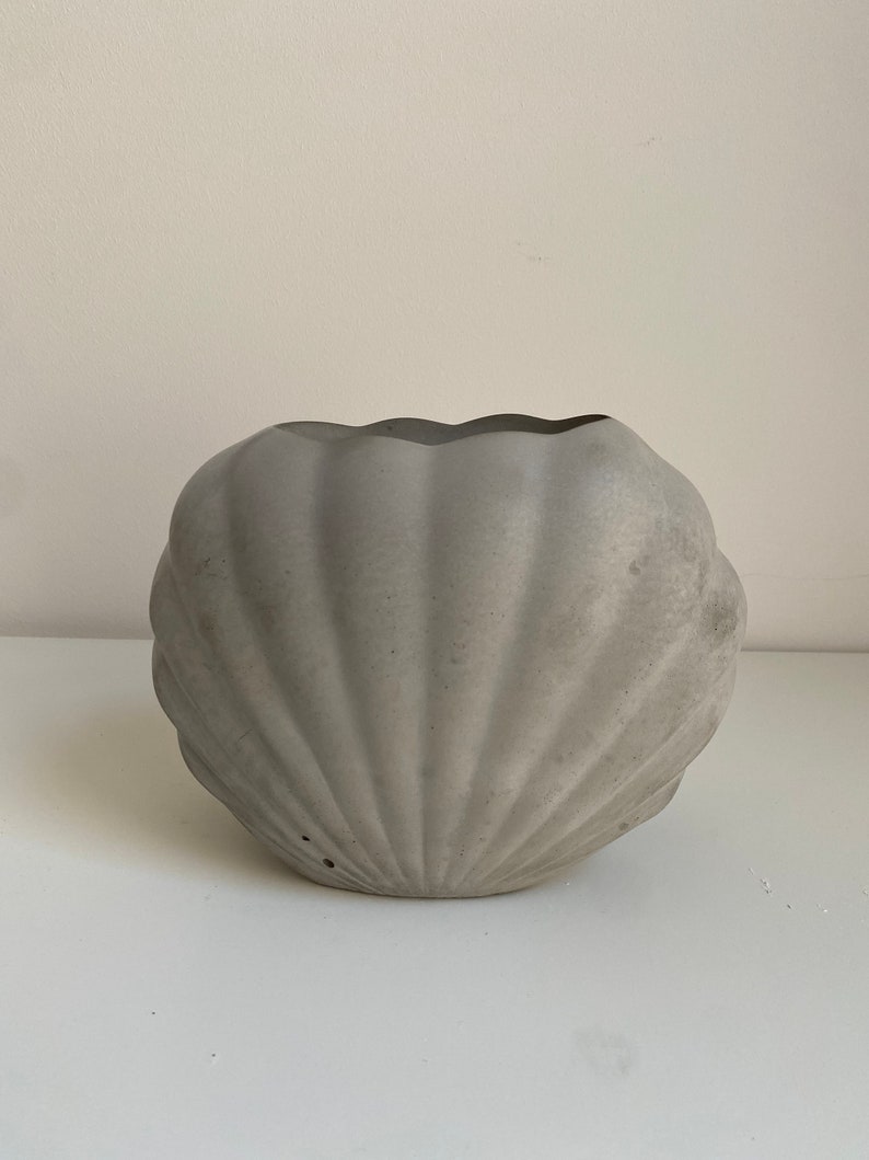 Large Concrete Shell Vase | Scallop Seashell Display Bud Vase ...