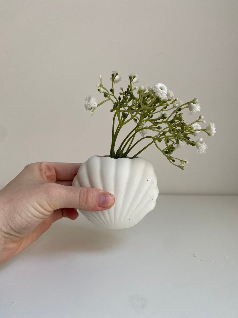 Small Concrete Shell Vase | Scallop Seashell Display Bud Vase ...