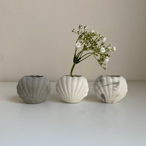 Small Concrete Shell Vase | Scallop Seashell Display Bud Vase ...