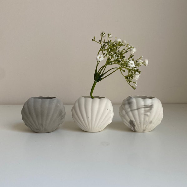 Shell Vase - Etsy