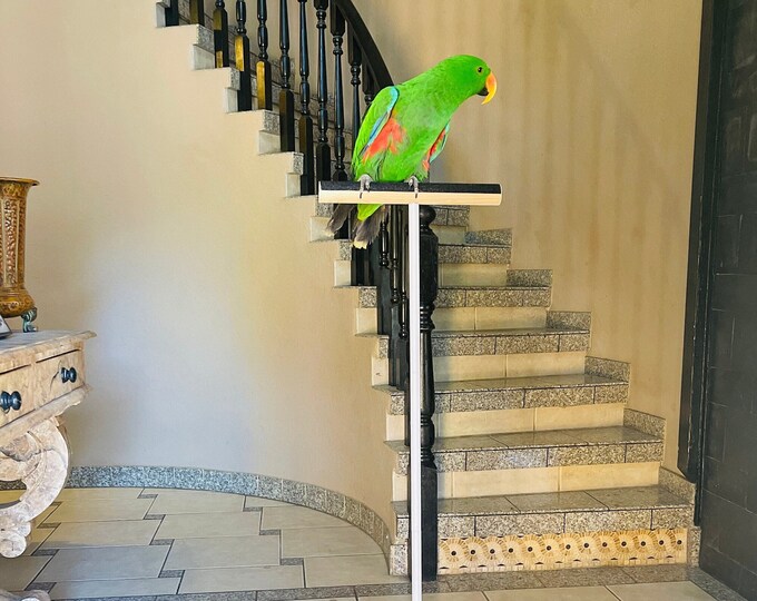 CUSTOM Size Transporter / Portable Parrot Perch / Stand #60 - Etsy