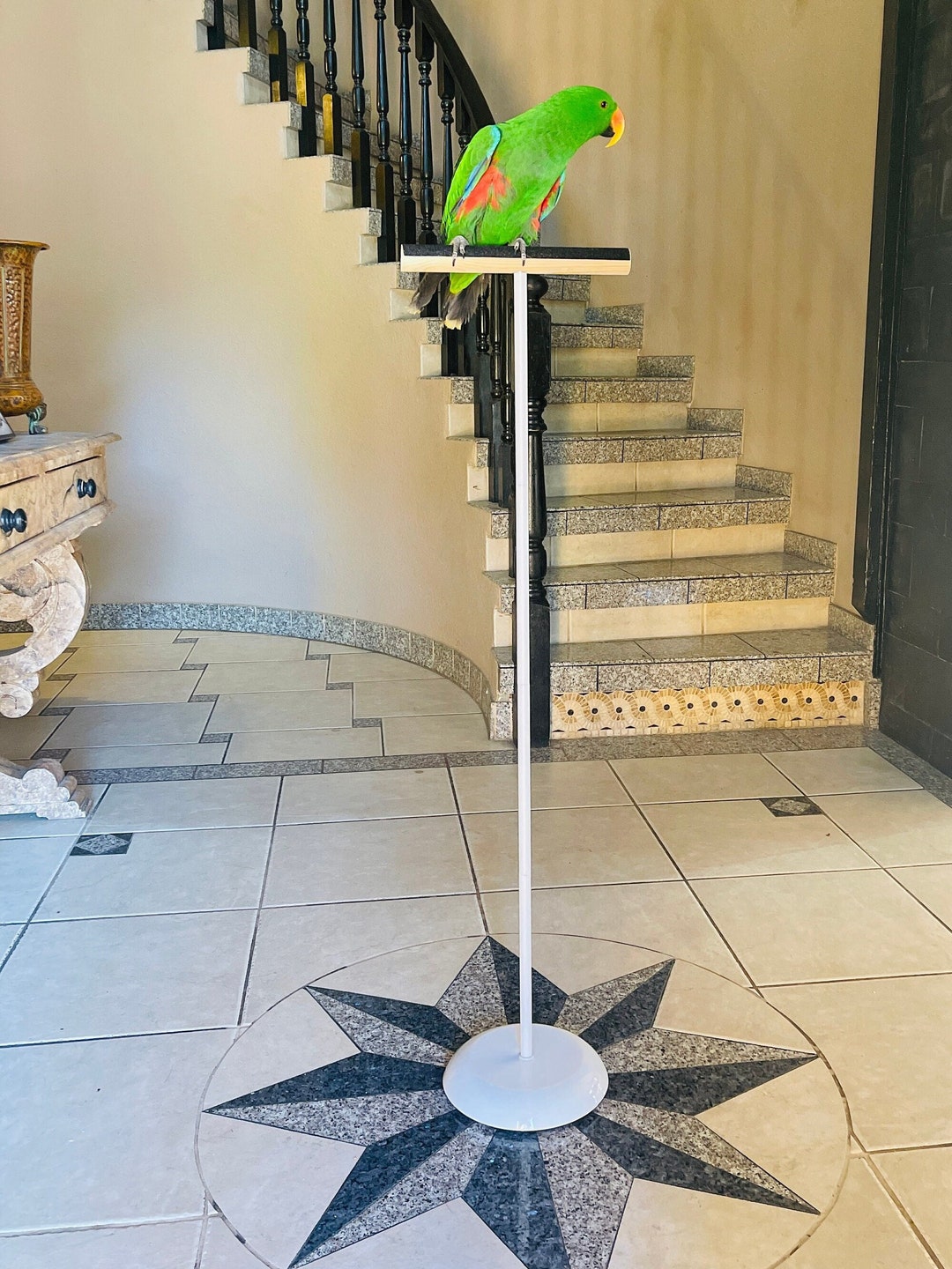 Parrot Perch Stand for Training Parrots. 44 Perch for Small, and Medium ...