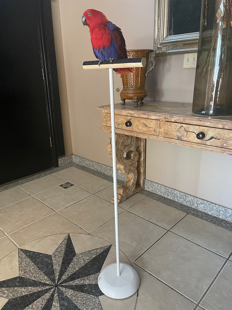 Parrot Perch Stand for Training Parrots. 44 Perch for Small, and Medium ...