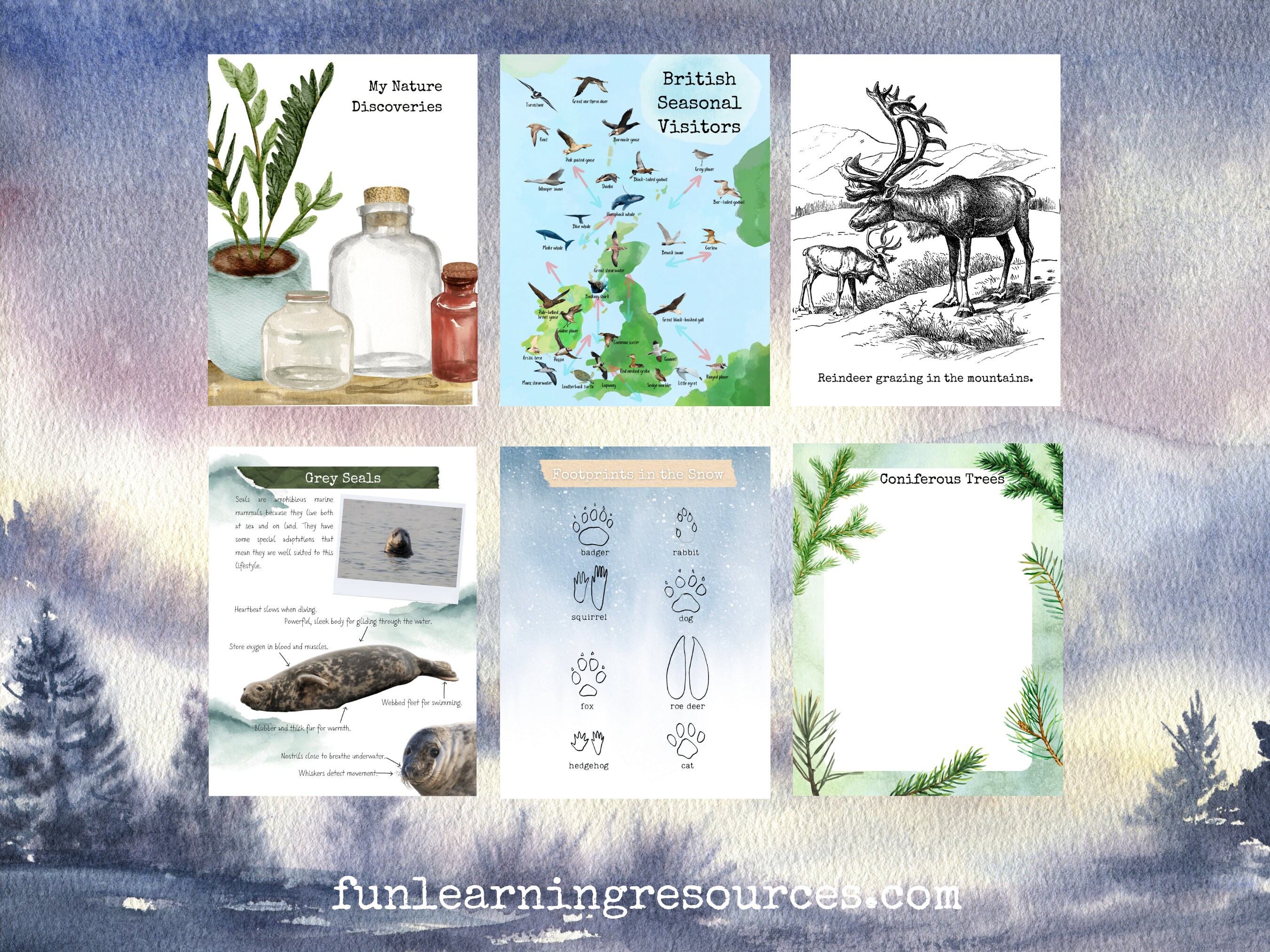 Let's Explore Nature in the Winter - Etsy