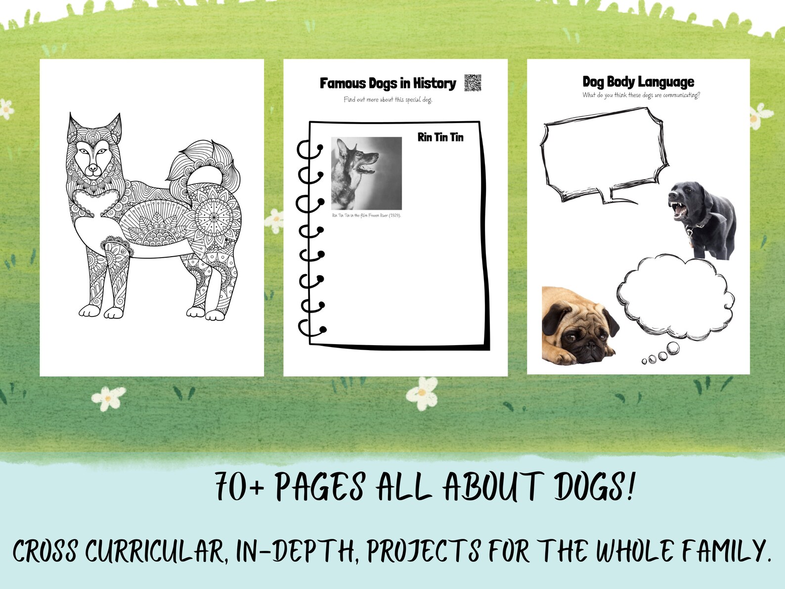 Let's Explore Dogs Workbook Unit Study - Etsy