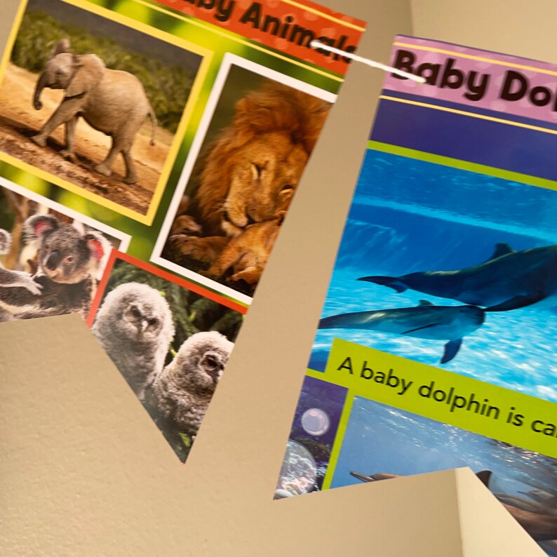 Adorable Baby Animals Book Paper Garland / Baby Animals Party Bunting ...