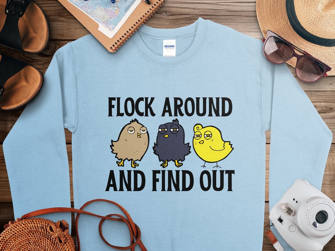Flock Around and Find Out Funny Birds, Bird Lover Hoodie, Sweatshirt ...