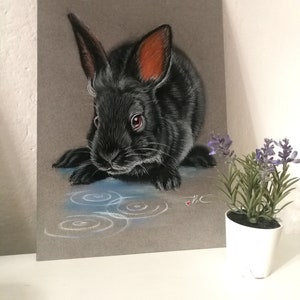 Black Rabbit Painting Original Art Animals Painting Wall Decor Art 12 X ...
