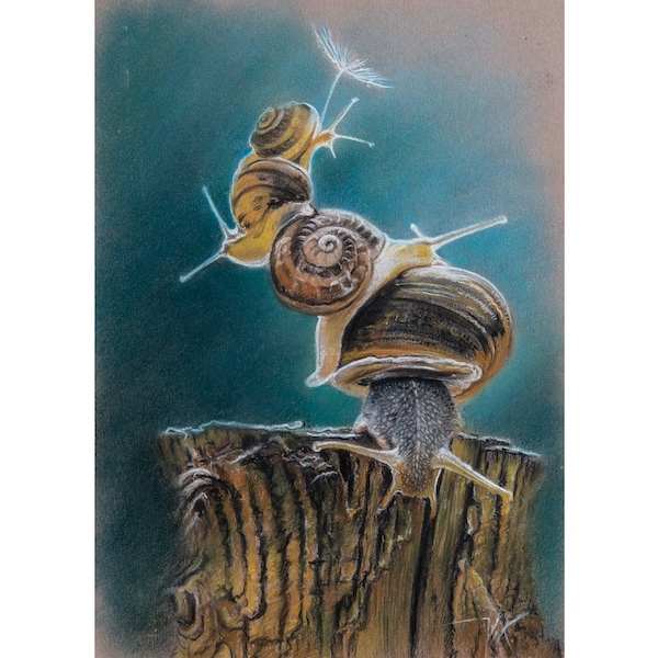 Snail Art - Etsy