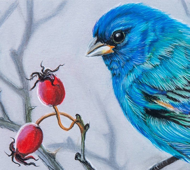 Painting Blue Bird Original Art Birds of North America Wall | Etsy