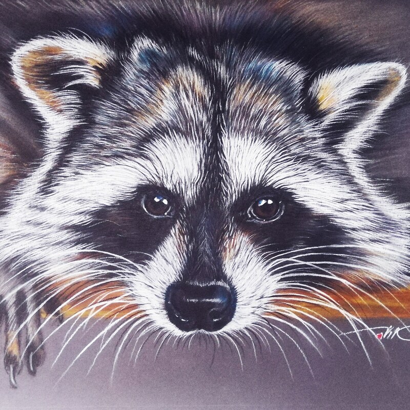 Raccoon Painting - Etsy