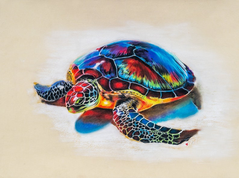 Turtle Painting Animals Original Art Marine Animals Pastel - Etsy