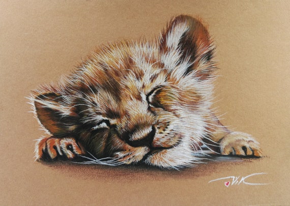 Lion Cub Painting Original Art Animals Painting Small Wall Art - Etsy