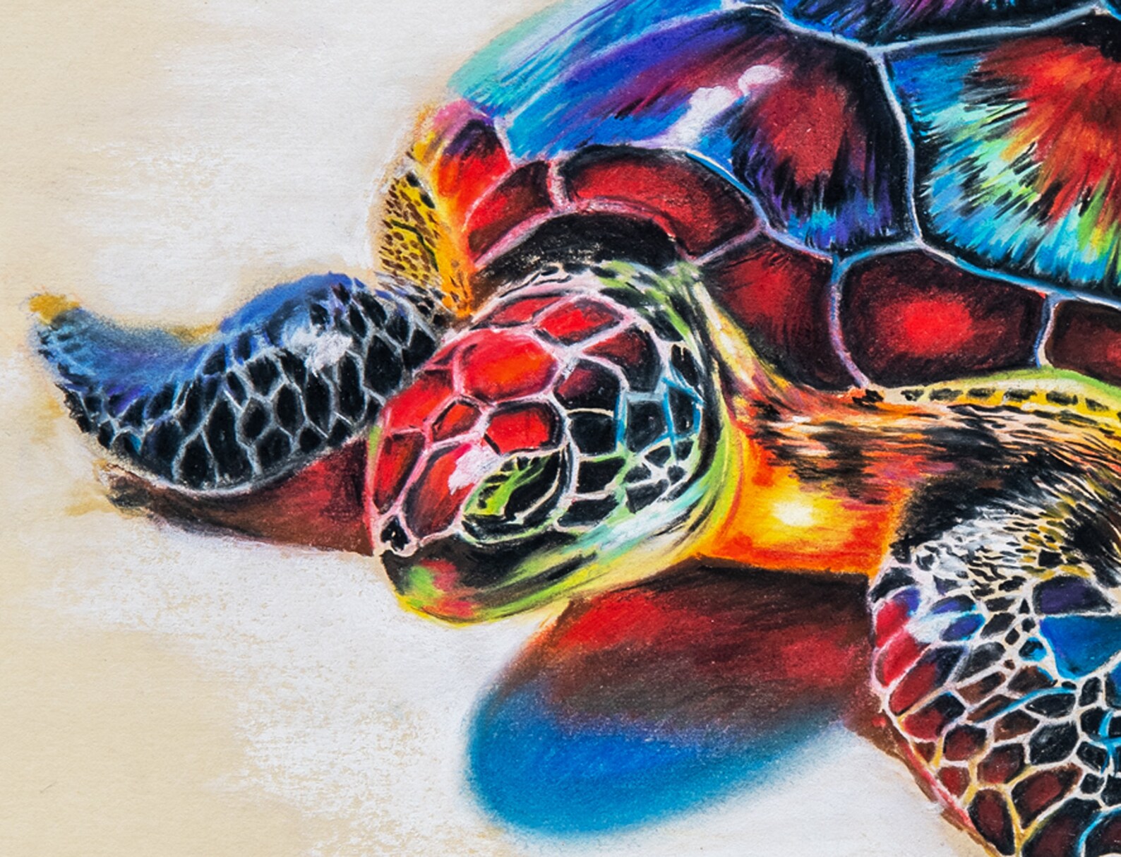 Turtle Painting Animals Original Art Marine Animals Pastel - Etsy