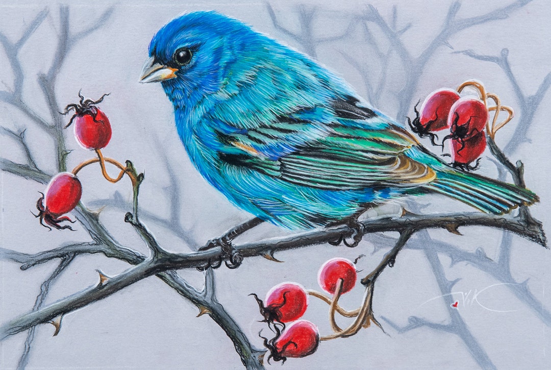 Painting Blue Bird Original Art Birds of North America Wall Painting 8 ...