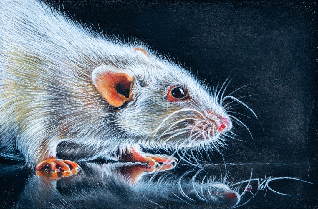 Mouse Painting Original Art Animals Painting Wall Art 8 X 10 by ...