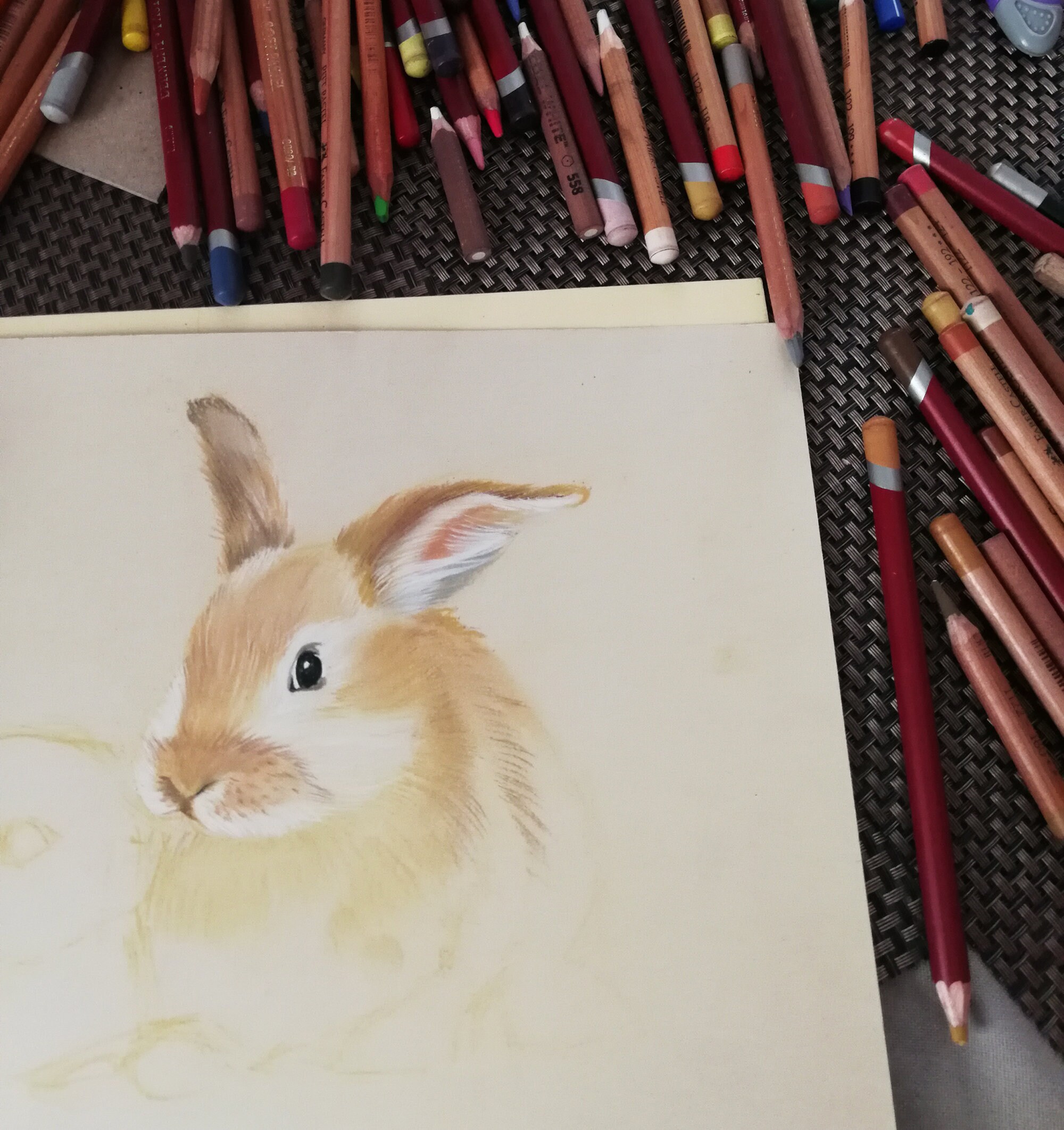 Rabbits Painting Original Art Animals Painting Wall Art 8 х 8 - Etsy