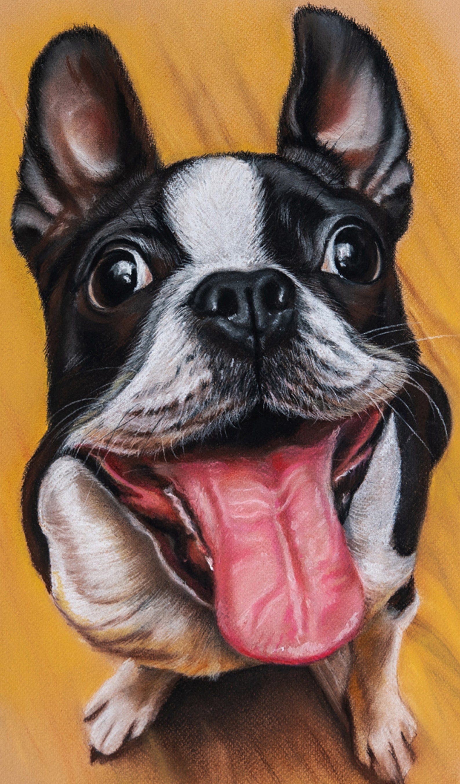 Dog Funny Painting Pets Original Art Animals Painting Wall Art - Etsy