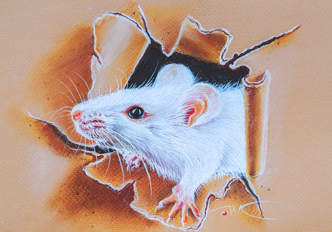 Mouse Painting Animals Original Art Animals Painting Pastel Small Wall ...