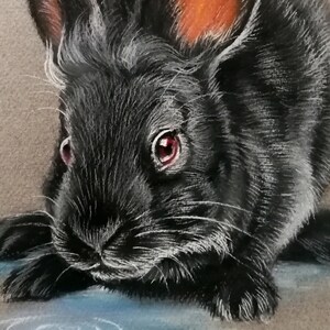 Black Rabbit Painting Original Art Animals Painting Wall Decor Art 12 X ...