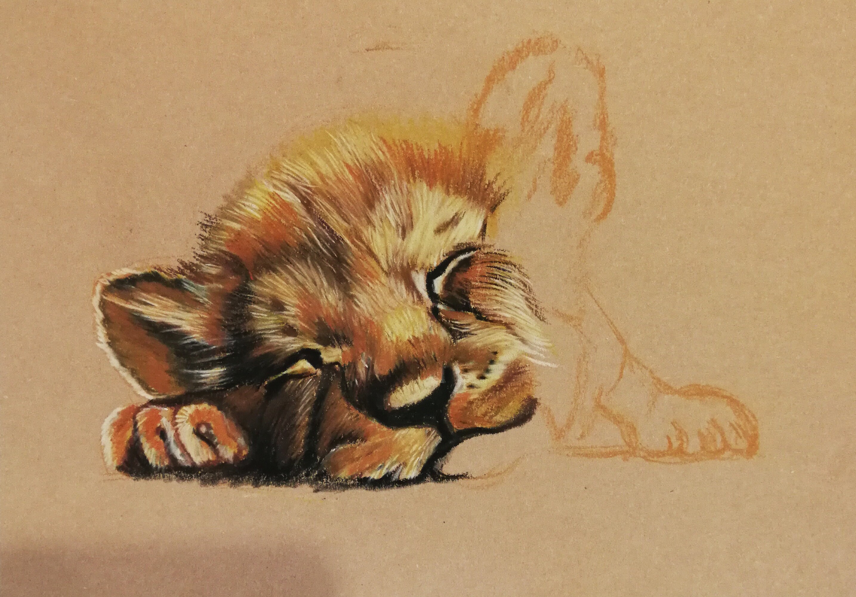 Lion Cub Painting Original Art Animals Painting Small Wall Art - Etsy