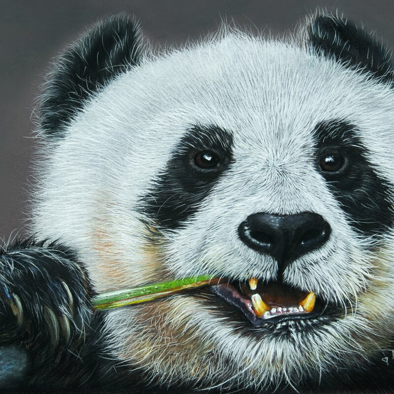 Panda Painting - Etsy
