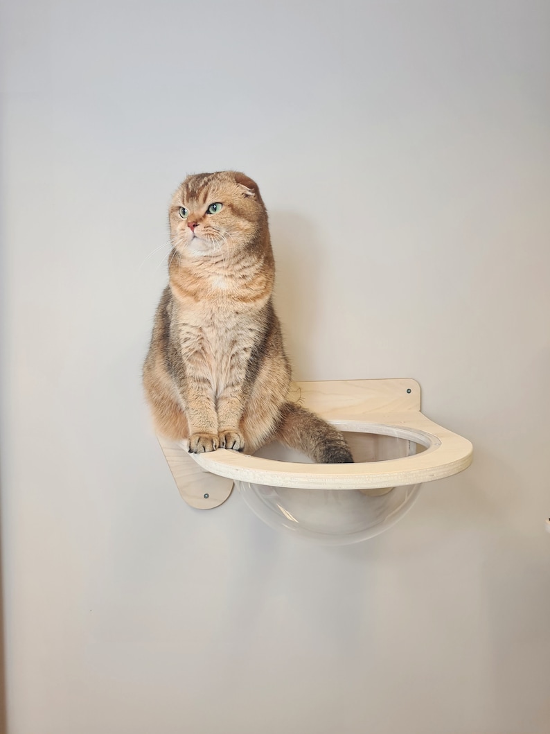 Wall Cat Bed, Dome Bed, Modern Pet Furniture - Etsy