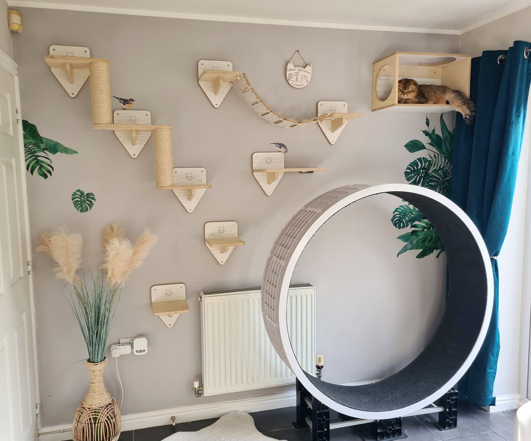 Wall Mounted Cat Playground: Stairs, Bridge, Shelves & Box Bed - Etsy