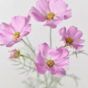 24'' Artificial Cosmos Flowers, Realistic Faux Flower, Silk Cosmos Stem ...